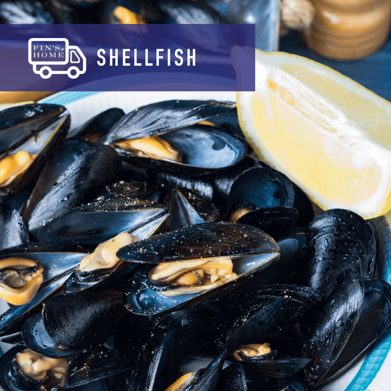 Shellfish – finsathome